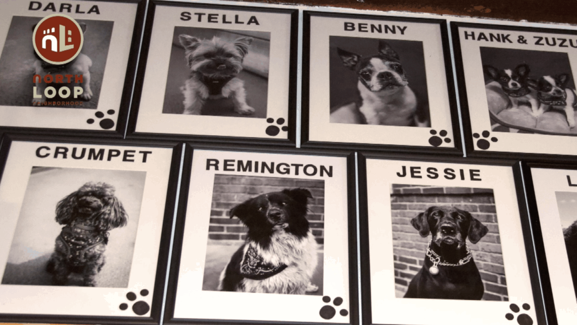 North Loop Coffee Shop Wants Your Dog - North Loop Neighborhood Association